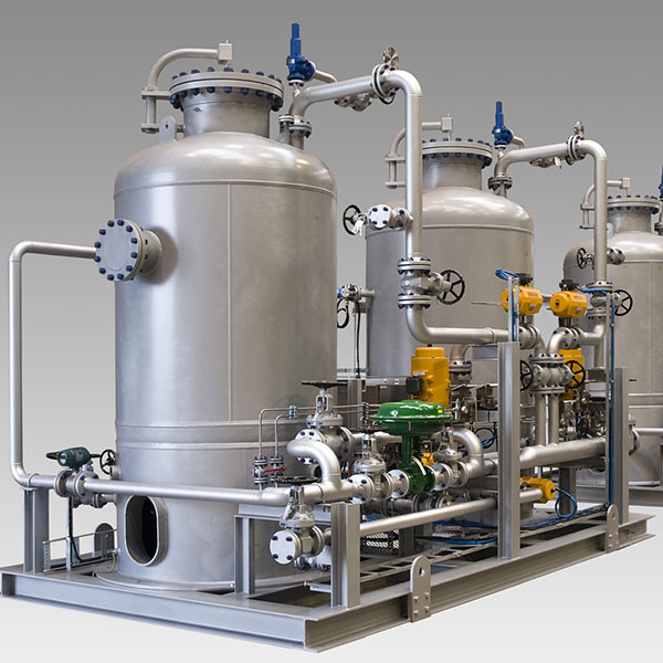 PROCESS SKIDS - Industrial Pumps and Pumping Solutions